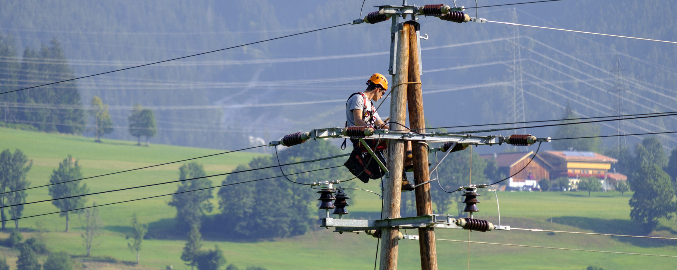 Premium Utility Poles | PF Trans Canada