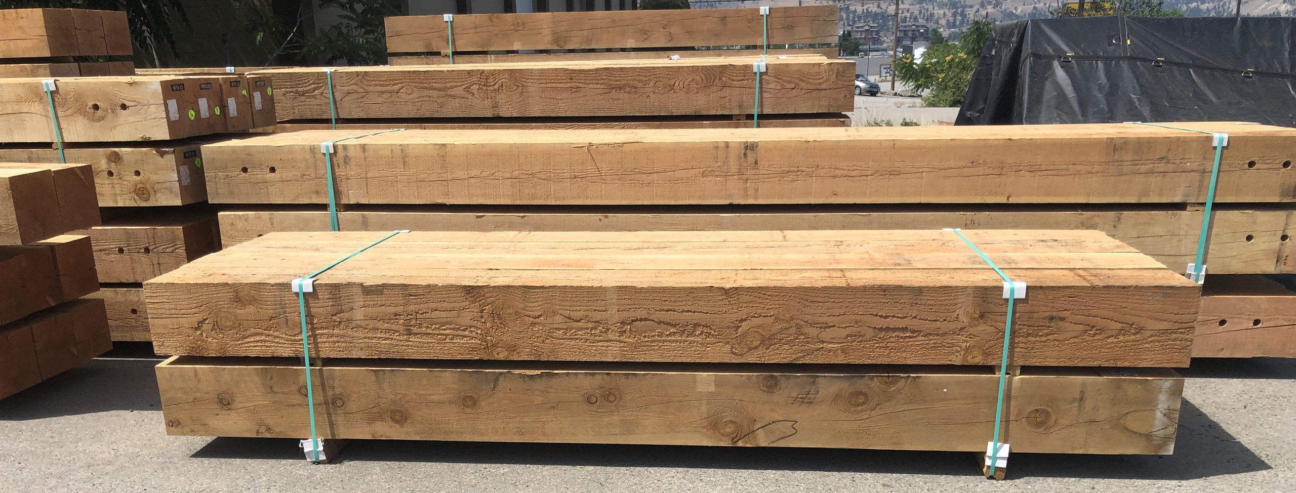 Mining Timbers | PF Trans Canada